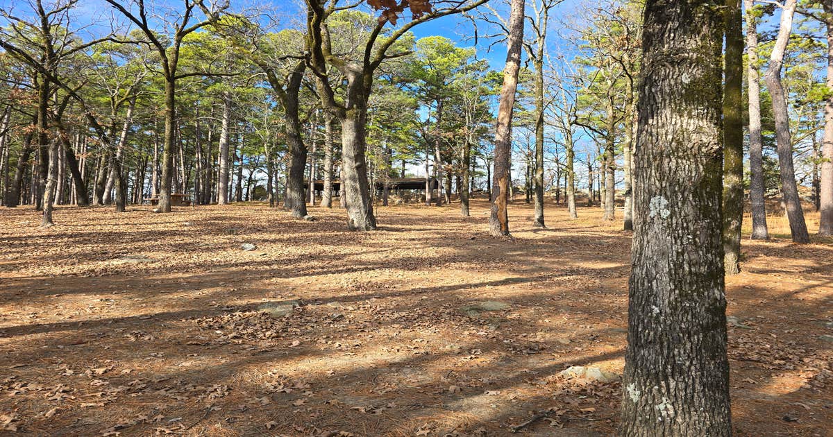 Primitive campground for wister state park | Wister, Oklahoma