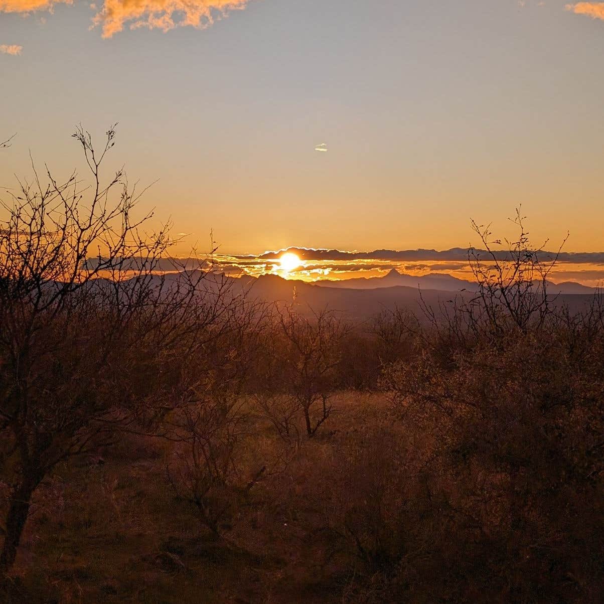 Proctor Rd. Dispersed by Madera Canyon Camping | Green Valley, Arizona