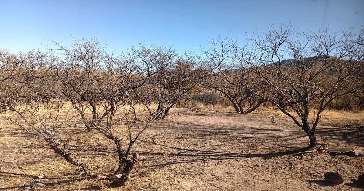 Proctor Road Dispersed Camping - Site 3b | Green Valley, Arizona
