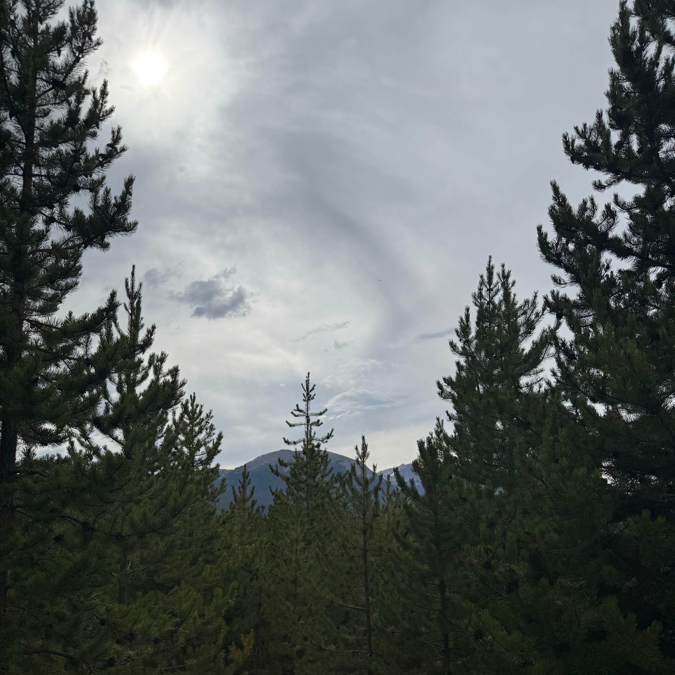 Prospector Campground | Dillon, Colorado
