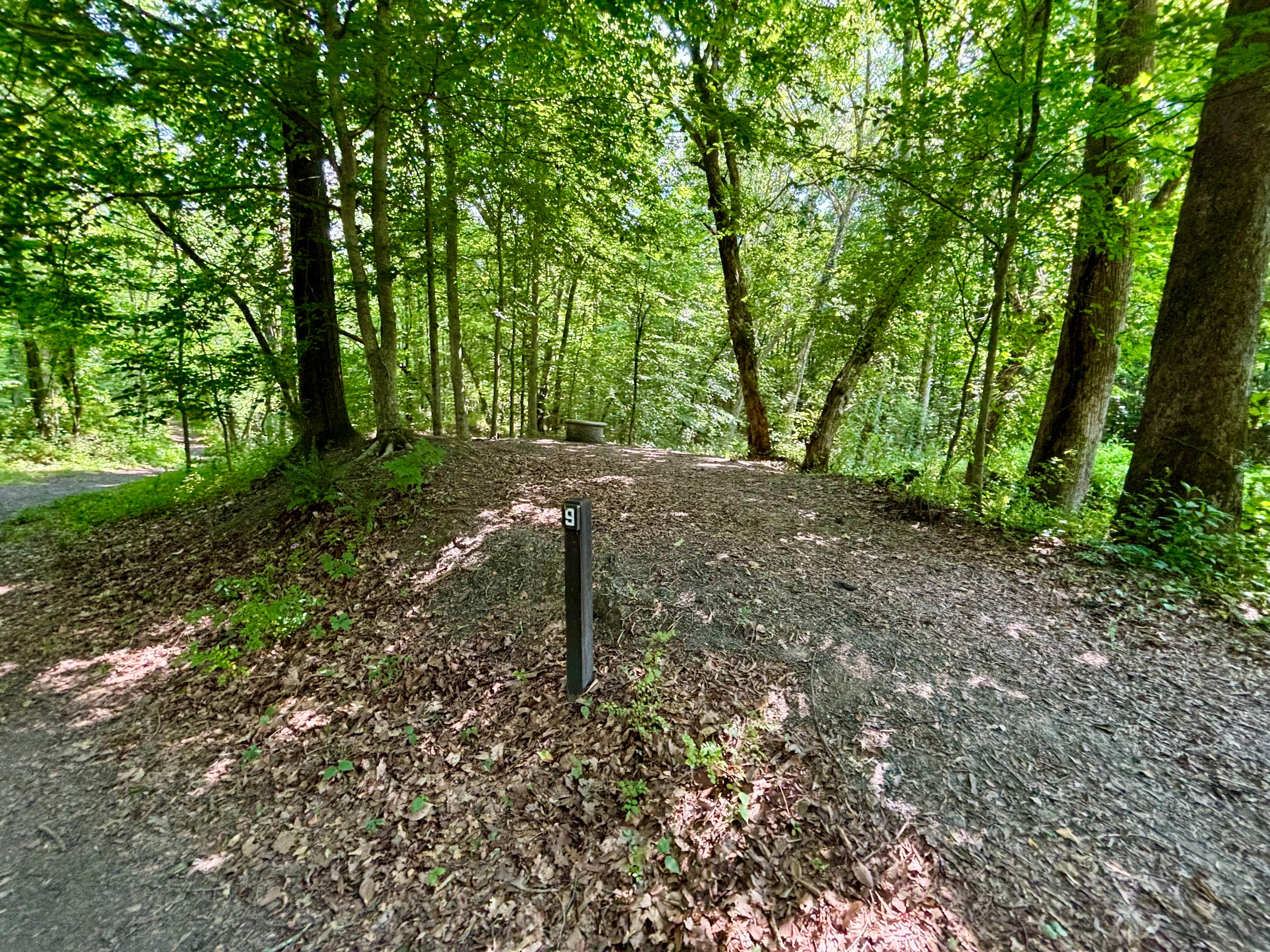 Rabbit Road Campground — Indian Mountain State Park | Jellico, TN