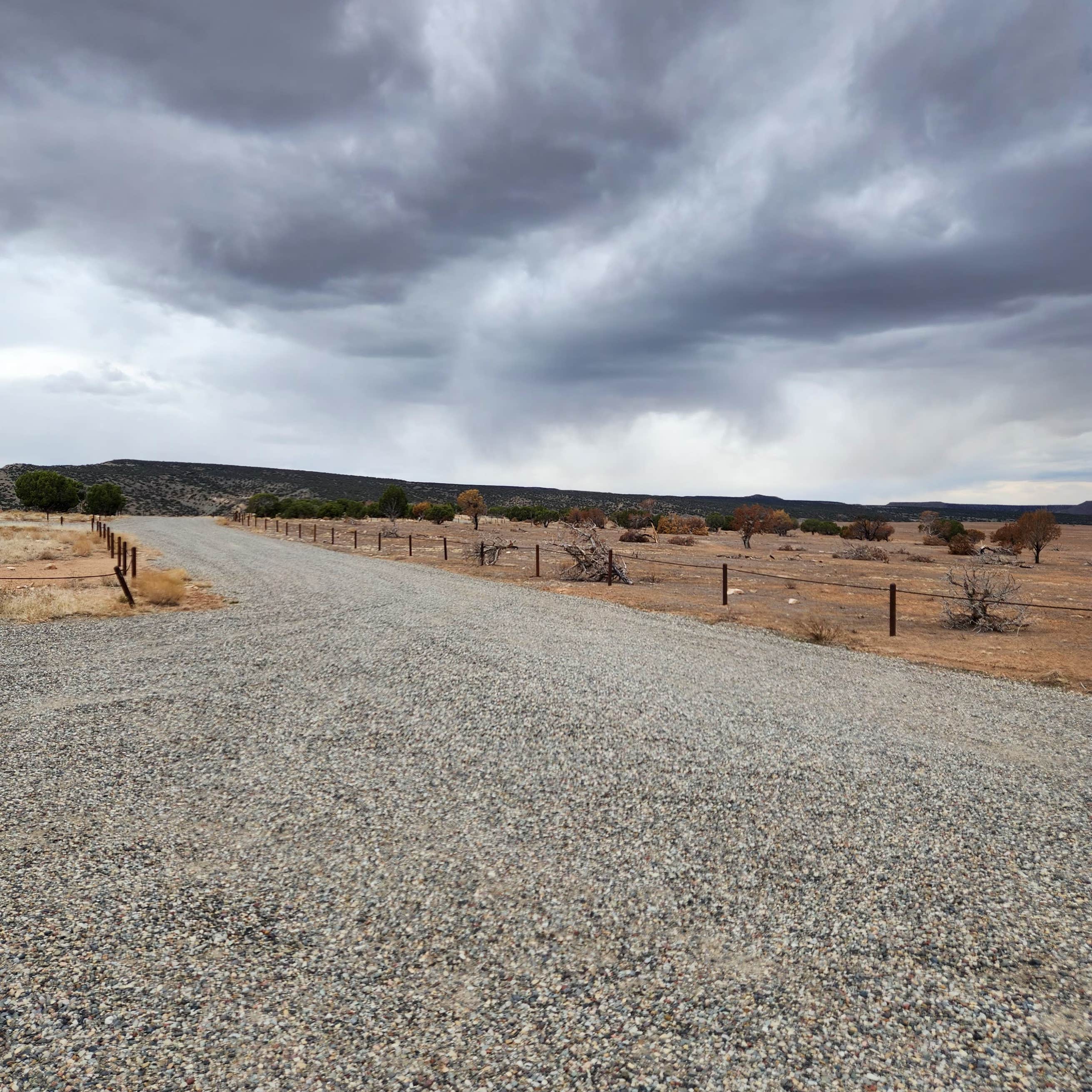 Rabbit Valley — Mc Innis Canyons National Conservation Area Camping ...