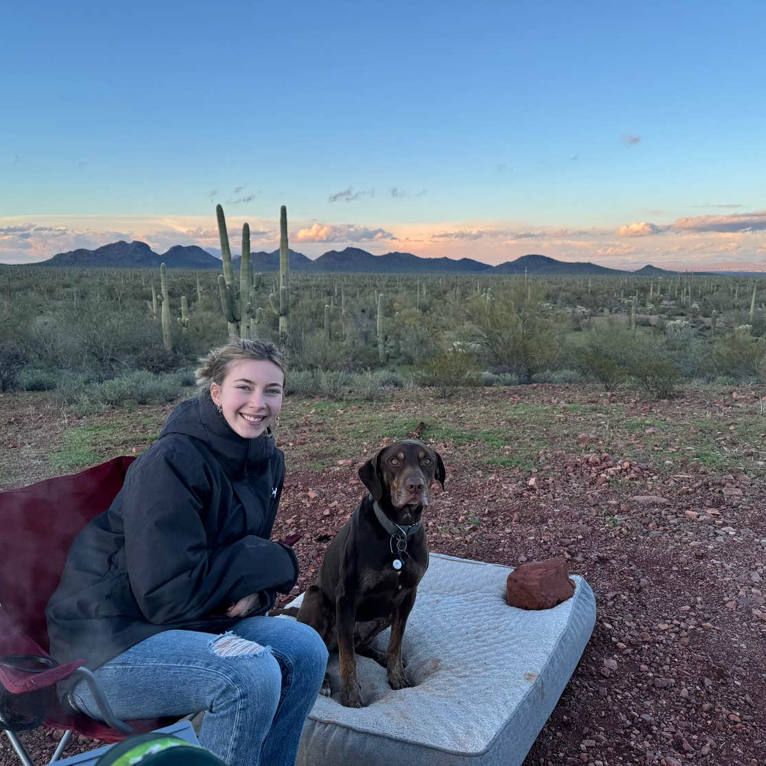 Ragged Top Rd Dispersed Camping | Marana, Arizona