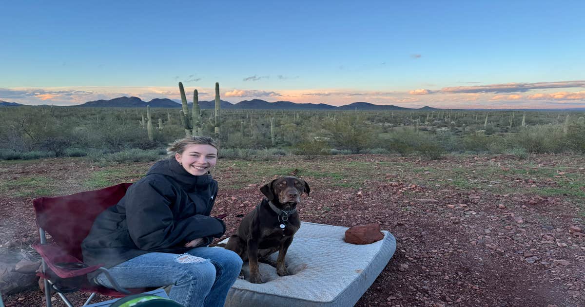 Ragged Top Rd Dispersed Camping | Marana, Arizona