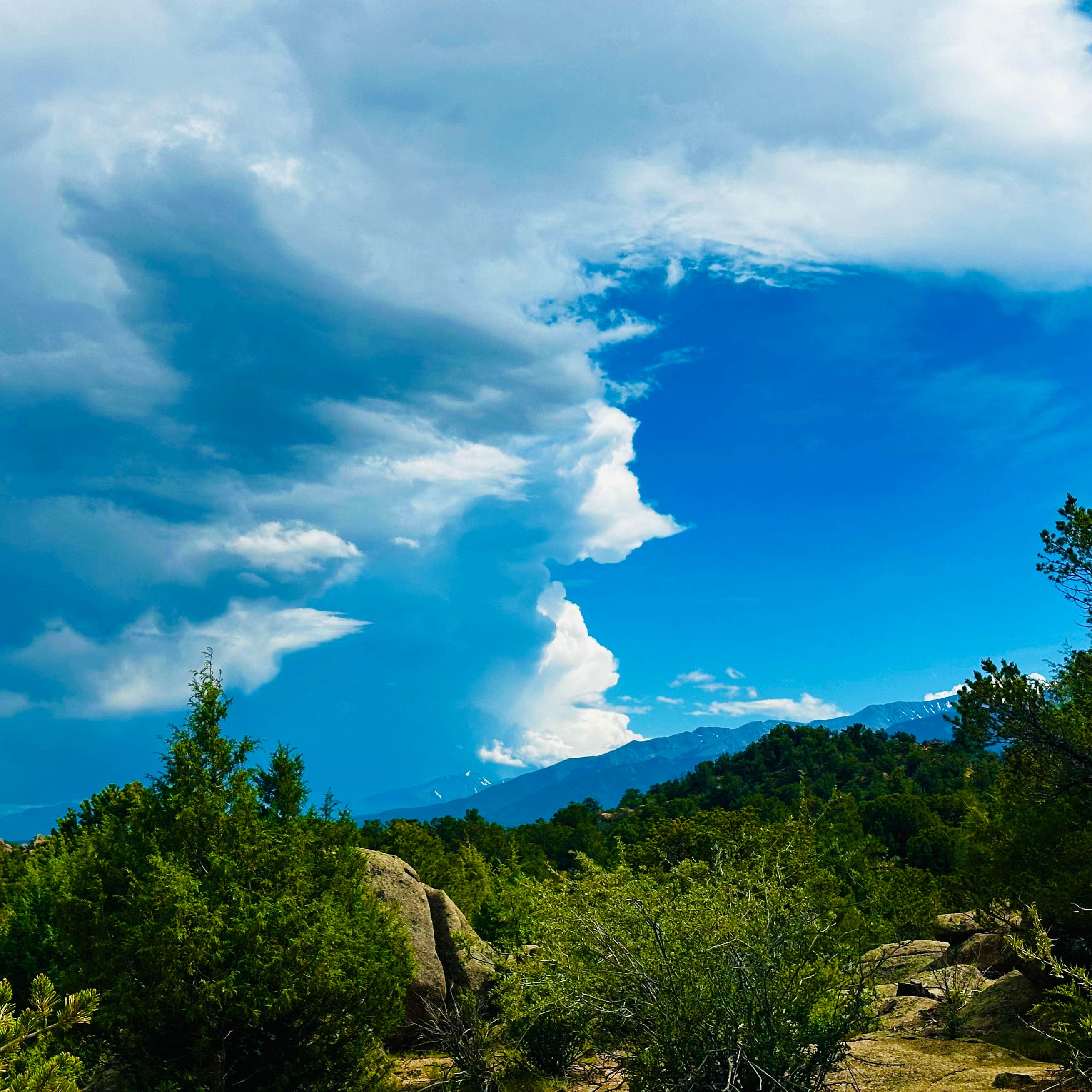 Railroad Bridge Camping | Buena Vista, CO