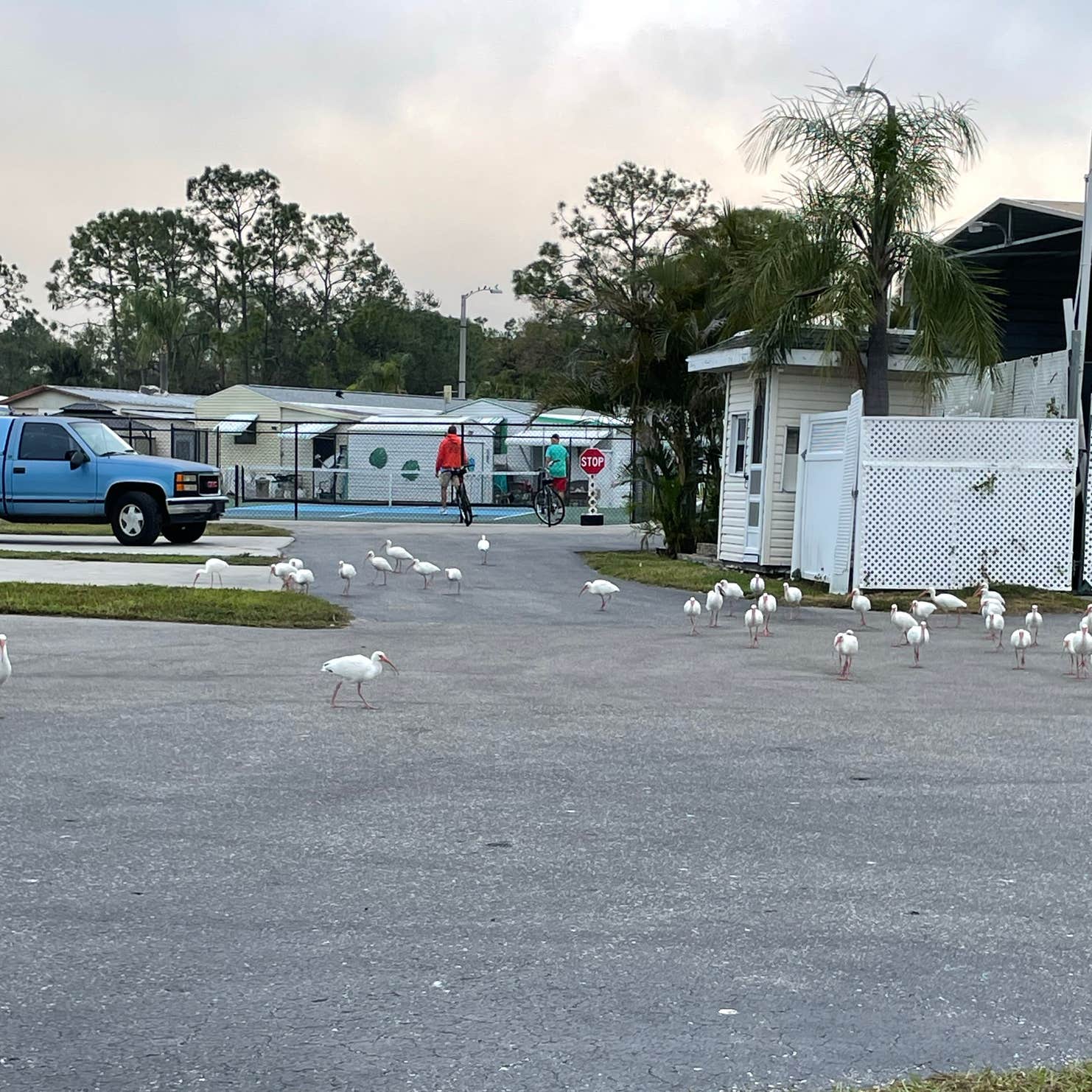 Raintree RV Resort | North Fort Myers, Florida