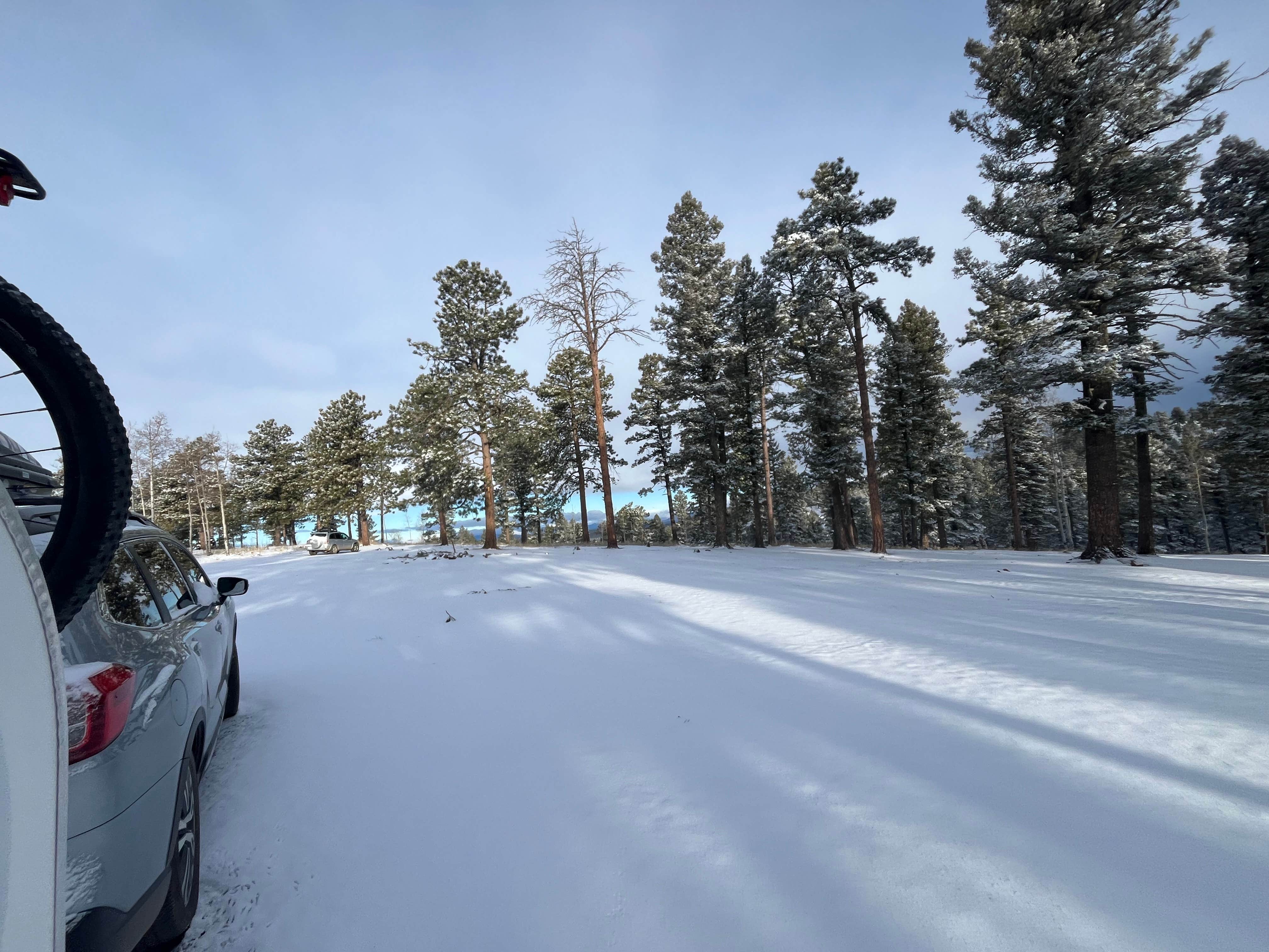 Rampart Range Area Dispersed Campsite | Green Mountain Falls, CO