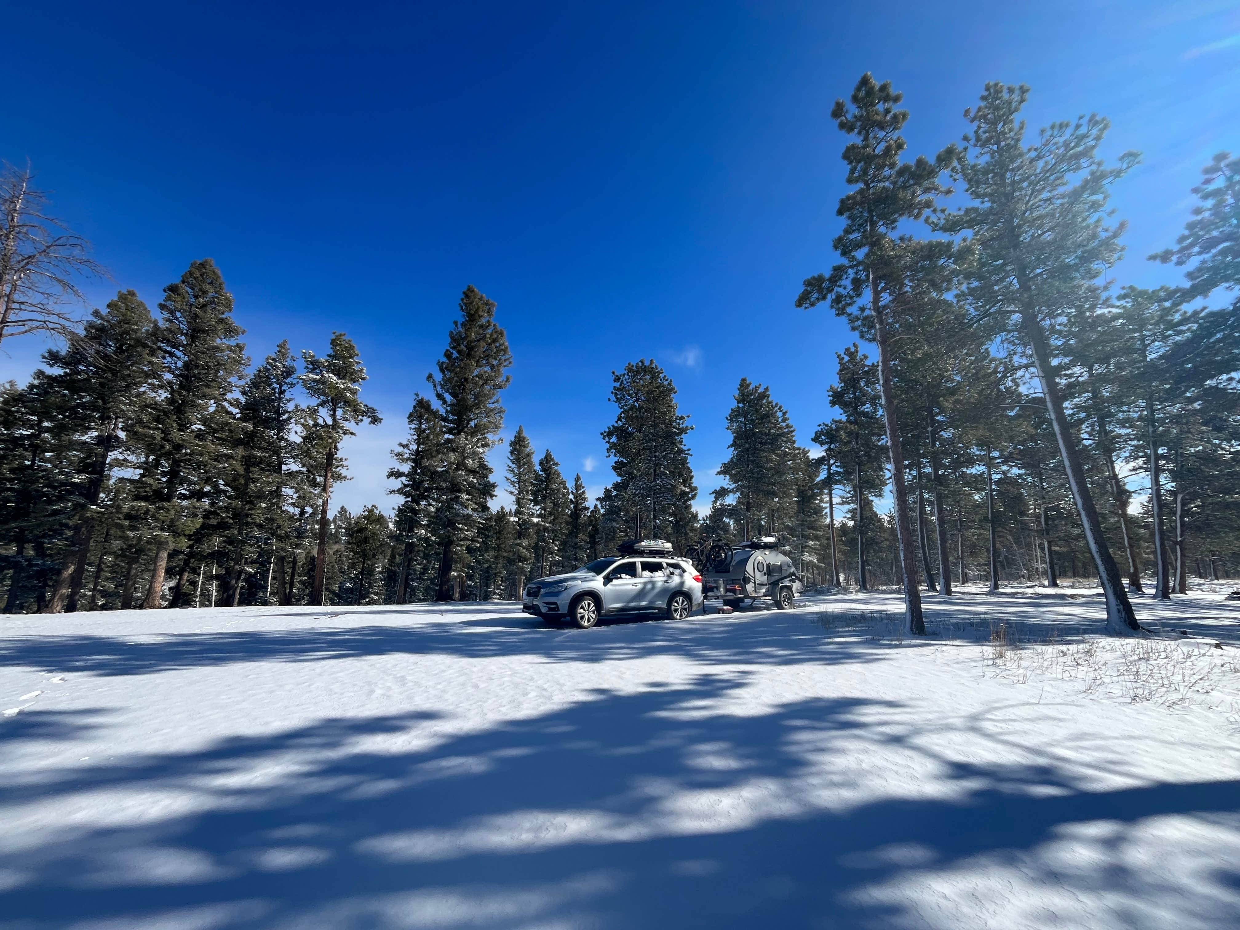Rampart Range Area Dispersed Campsite | Green Mountain Falls, CO