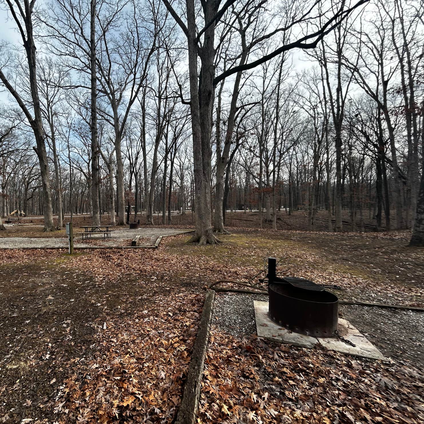 Ramsey Lake State Recreation Area Camping | Ramsey, IL