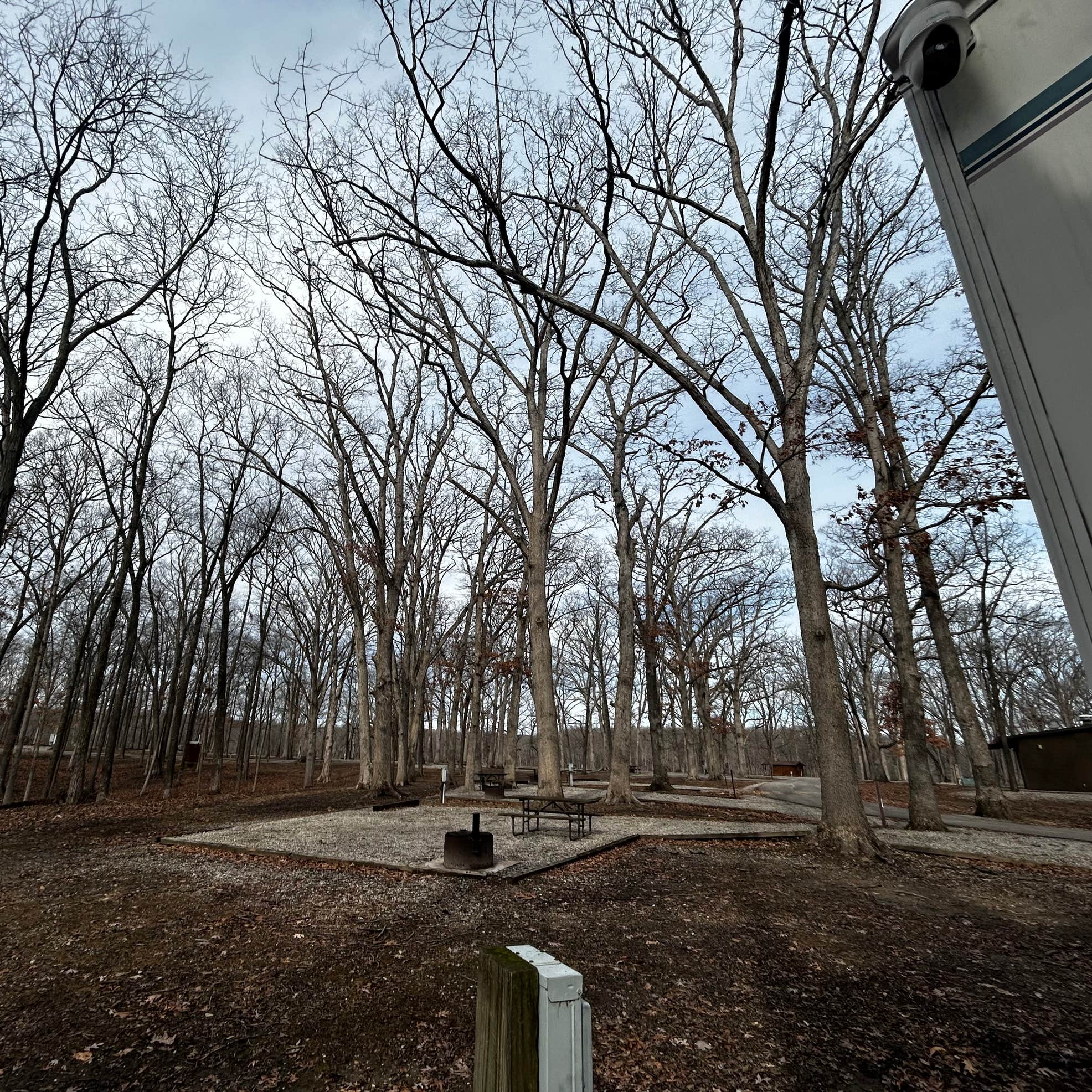 Ramsey Lake State Recreation Area Camping | Ramsey, Illinois