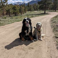 Raspberry Gulch Dispersed Site Camping | Nathrop, CO