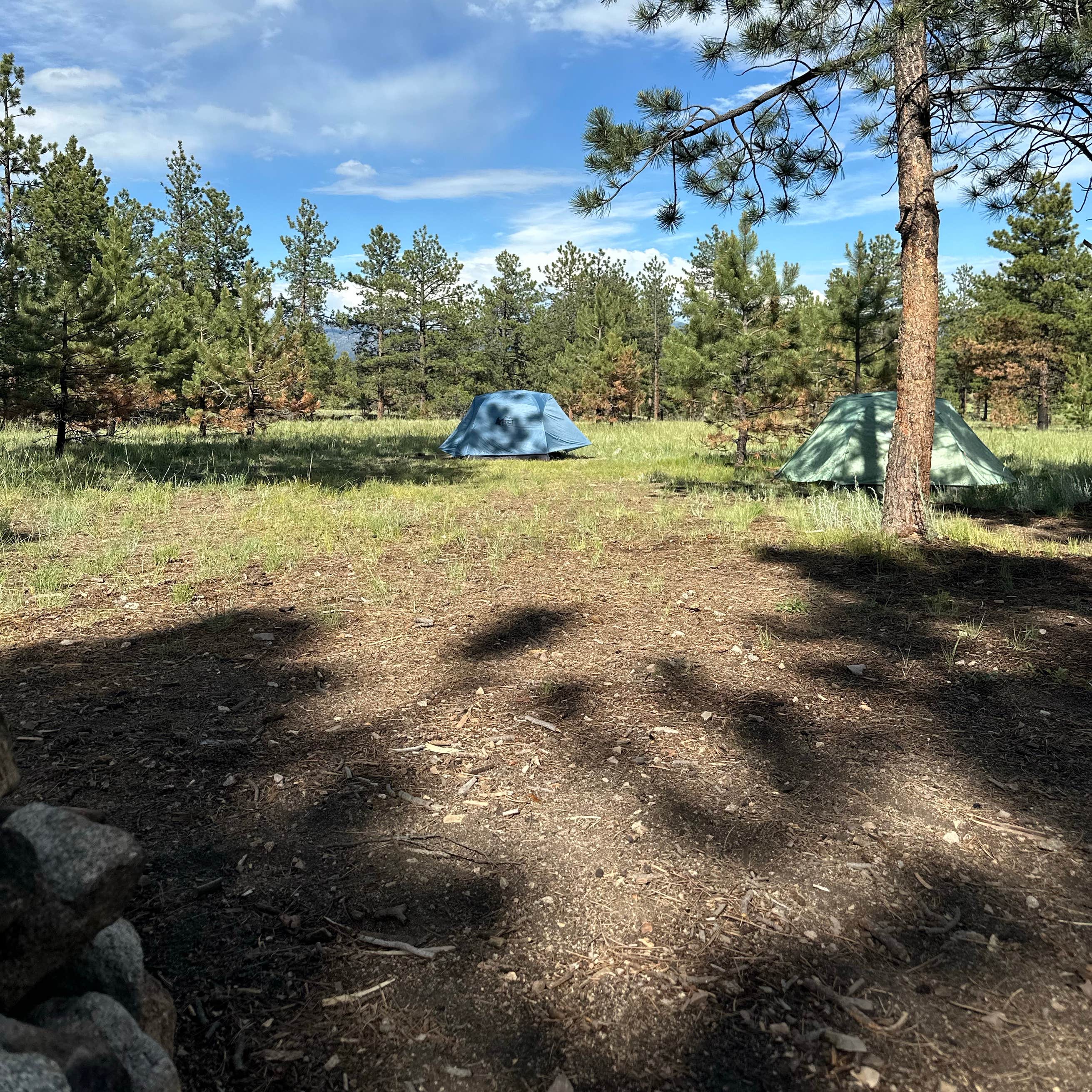 Raspberry Gulch Dispersed Site Camping | Nathrop, Colorado