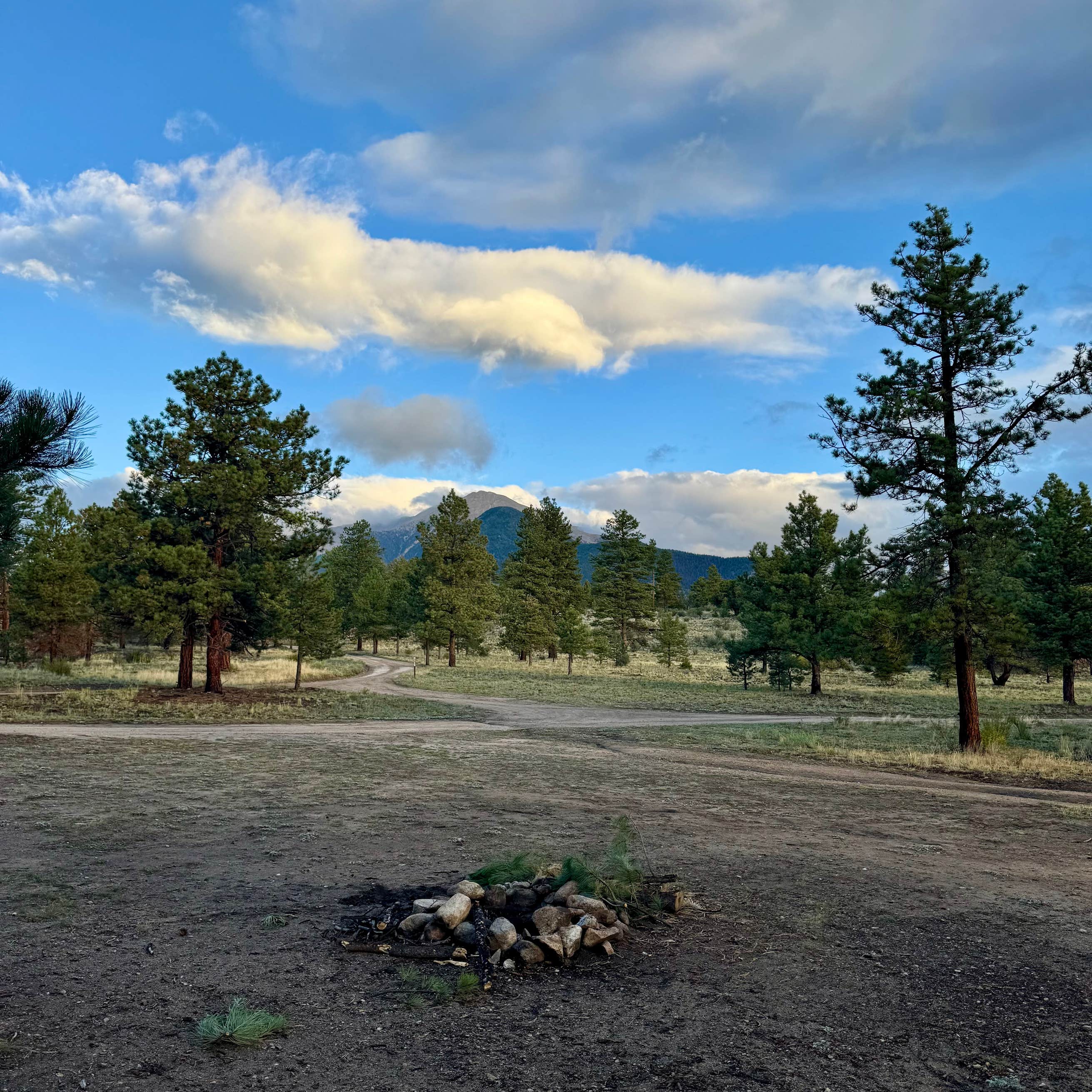 Raspberry Gulch Dispersed Site Camping | Nathrop, Colorado