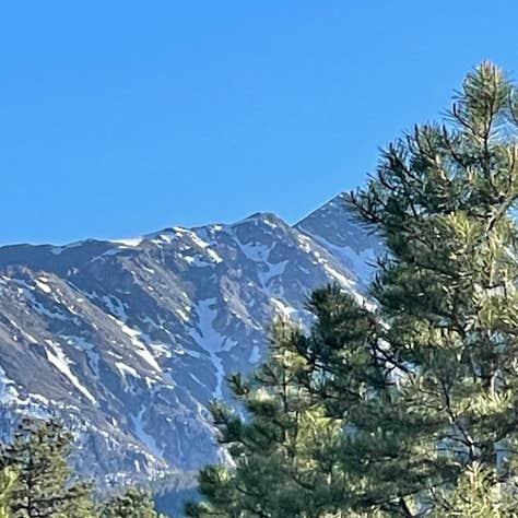 Raspberry Gulch Dispersed Site Camping | Nathrop, CO