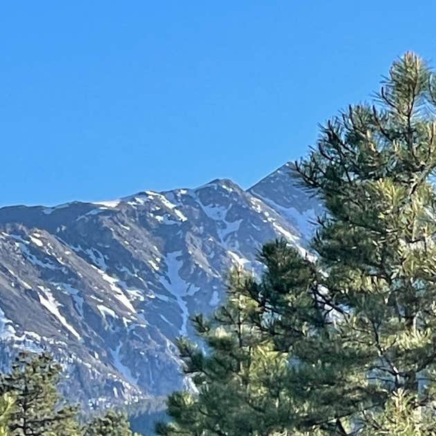 Raspberry Gulch Dispersed Site Camping | Nathrop, CO