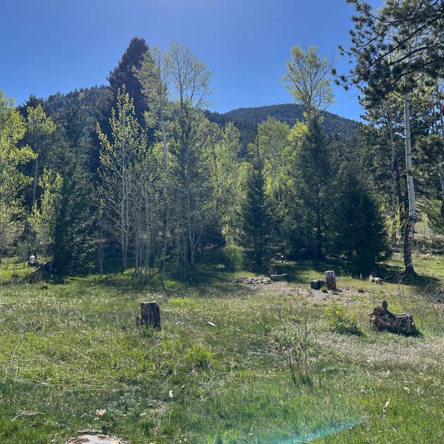 Raspberry Gulch Dispersed Site Camping | Nathrop, Colorado