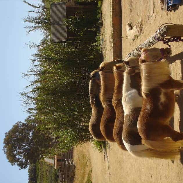 Rawhide Ranch Camping | Fallbrook, California