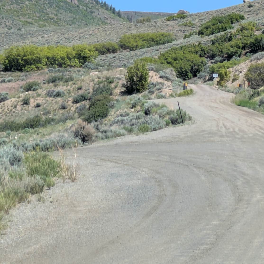 Red Creek Road Camping | Powderhorn, Colorado