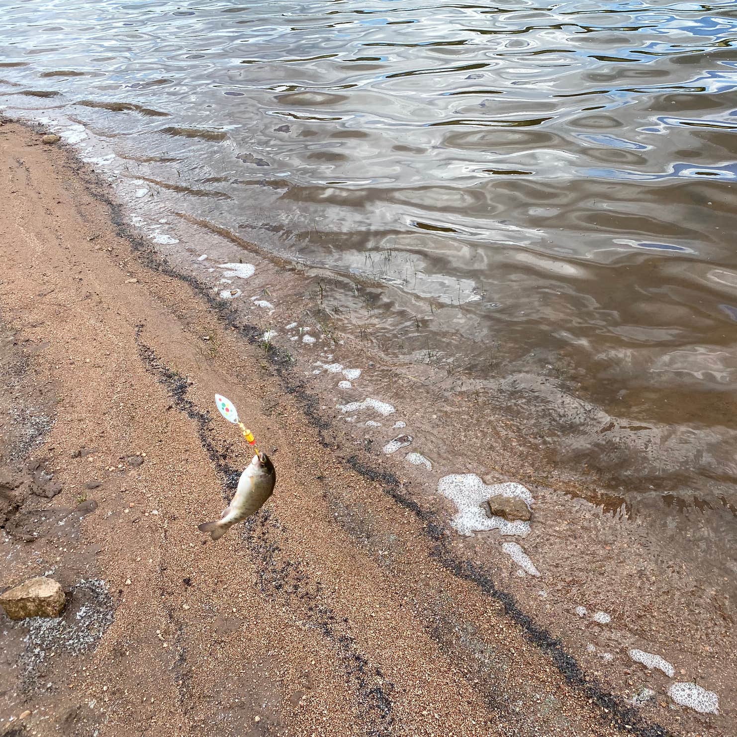 Red Dirt Reservoir Camping | Kremmling, Colorado