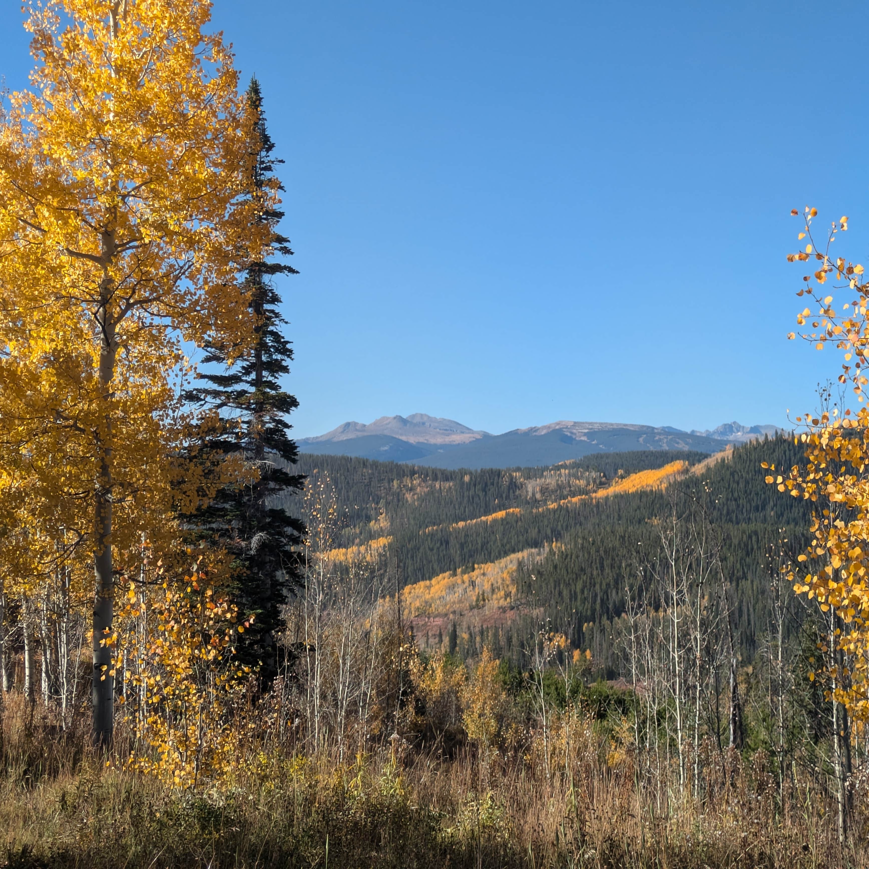 Red Sandstone - Primitive Dispersed Camping | Vail, Colorado