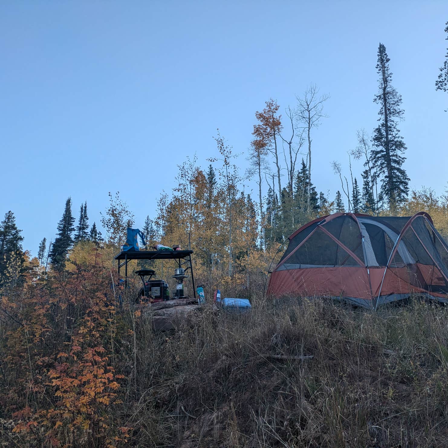 Red Sandstone - Primitive Dispersed Camping | Vail, Colorado
