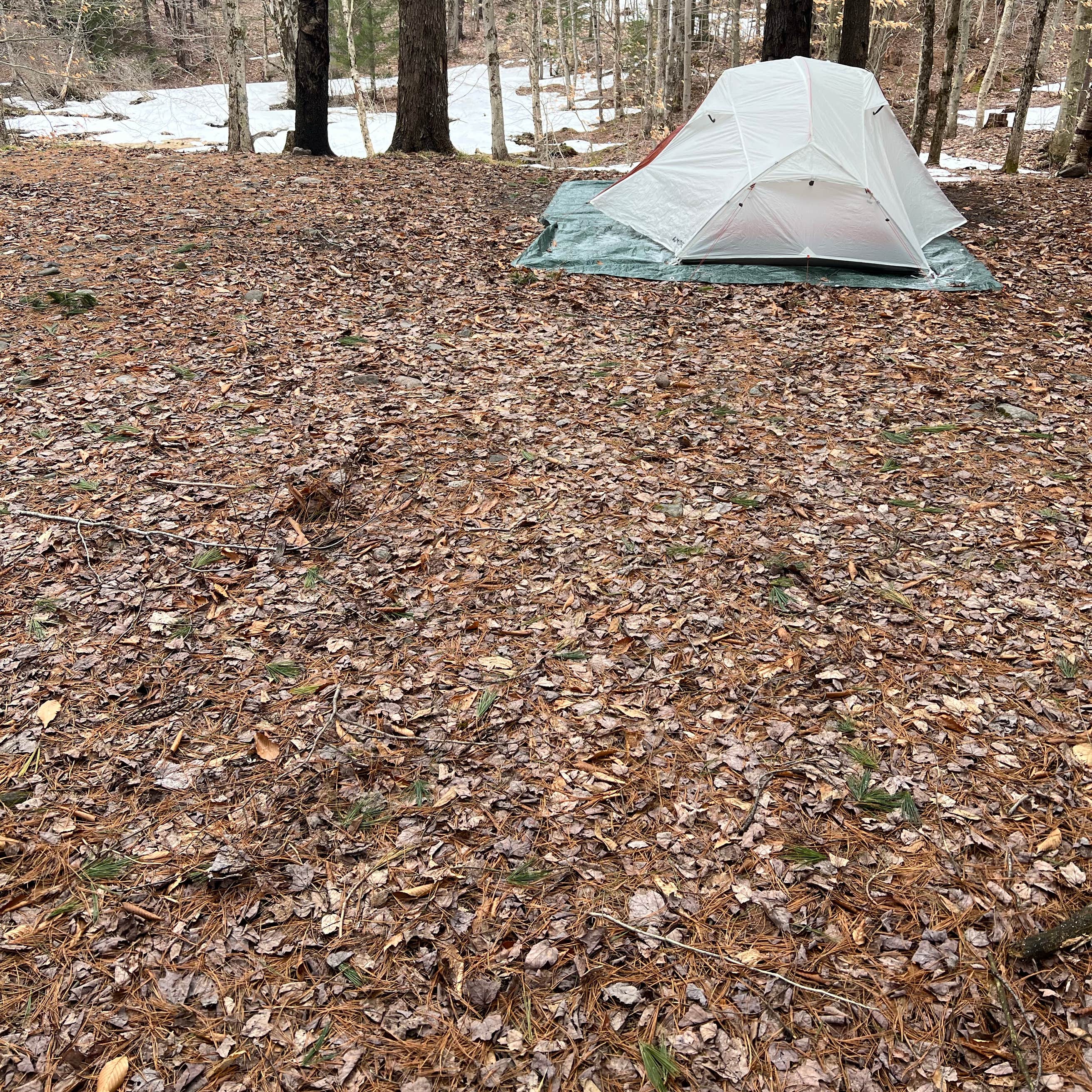 Hall Island State Forest Camping | Altmar, New York