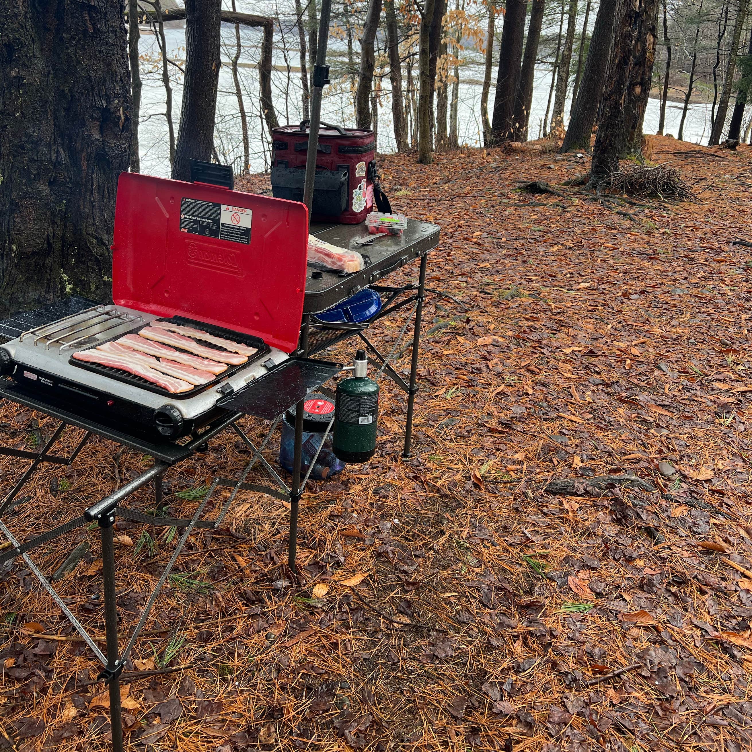 Hall Island State Forest Camping | Altmar, New York
