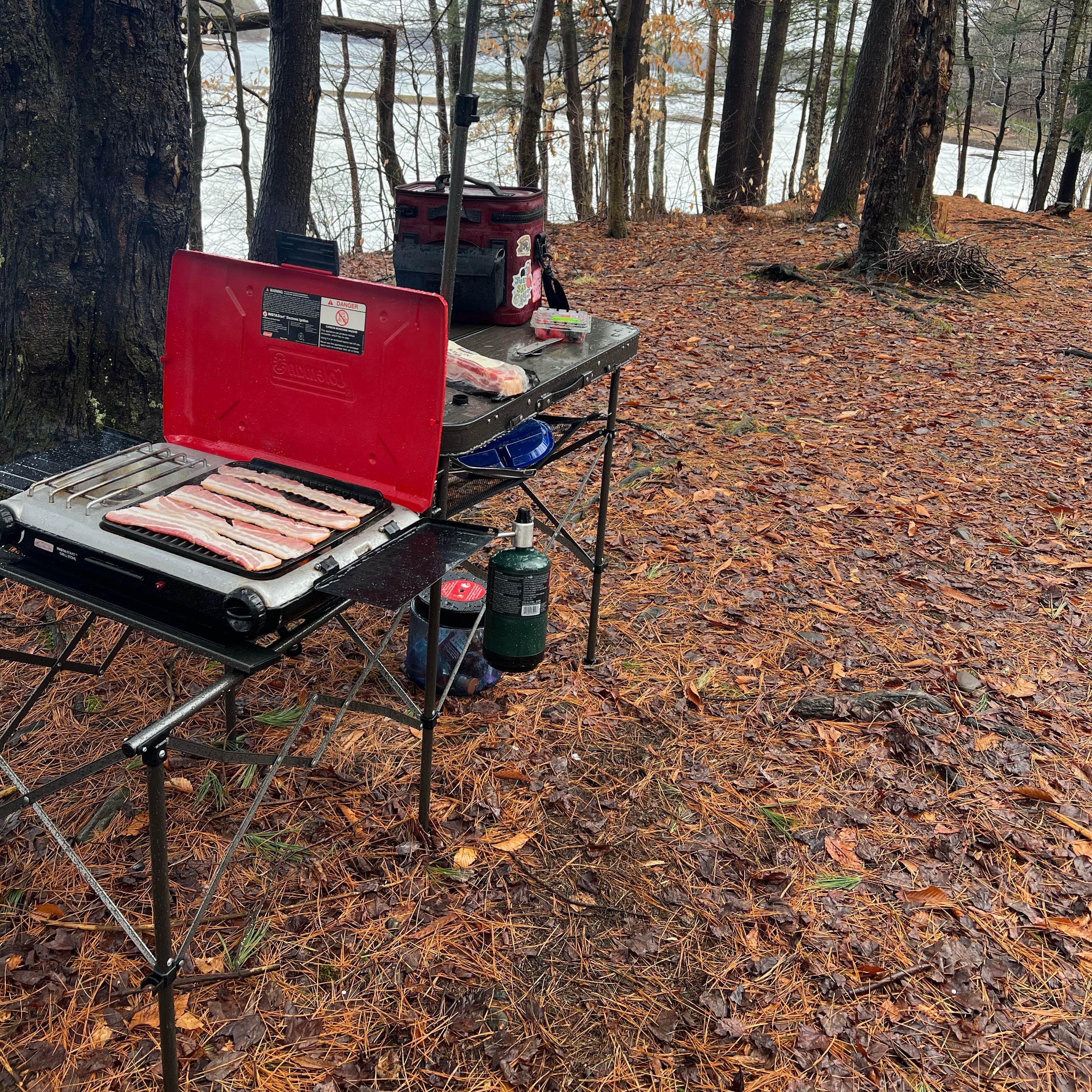 Hall Island State Forest Camping | Altmar, New York