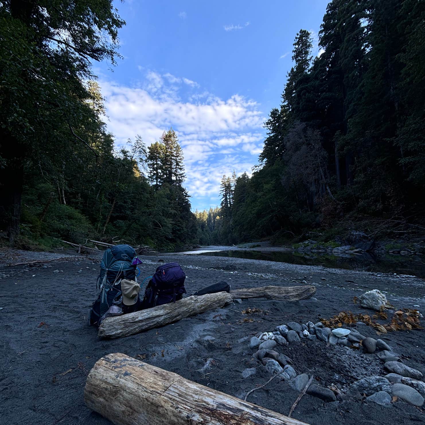 Redwood Creek Dispersed Camp | Orick, California
