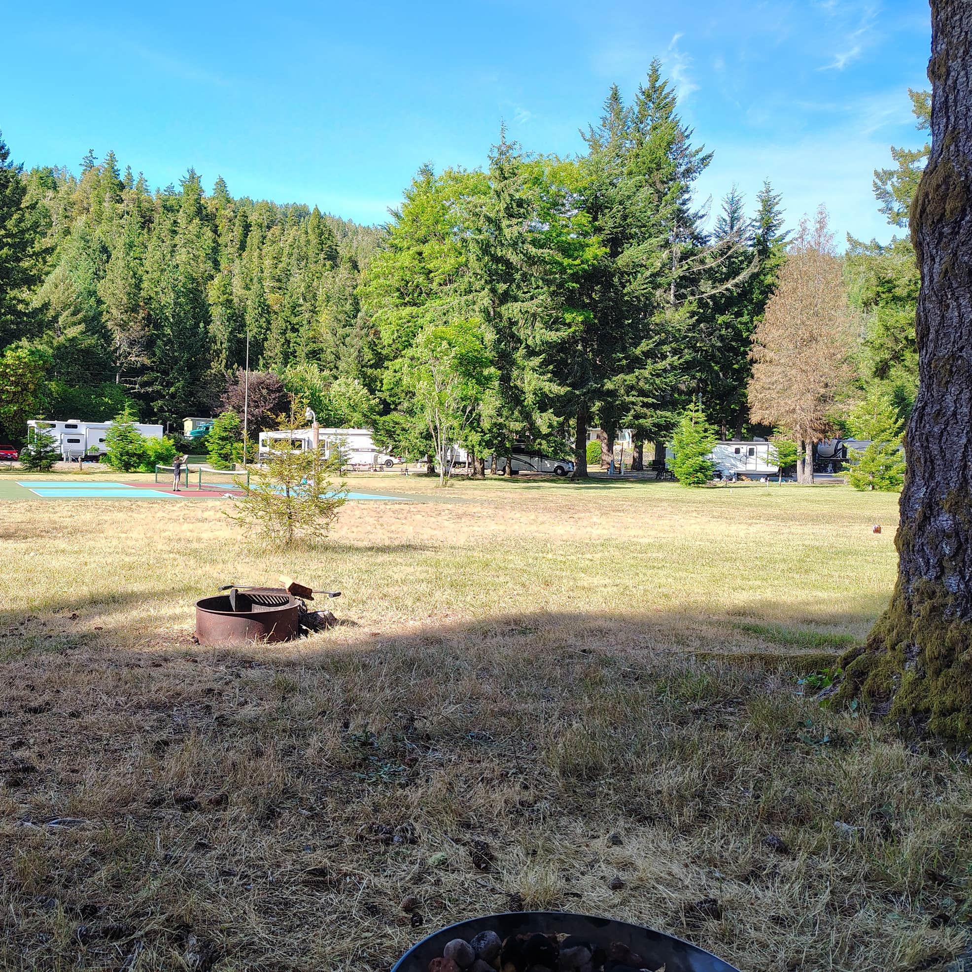 Redwood Meadows RV Resort | Hiouchi, California