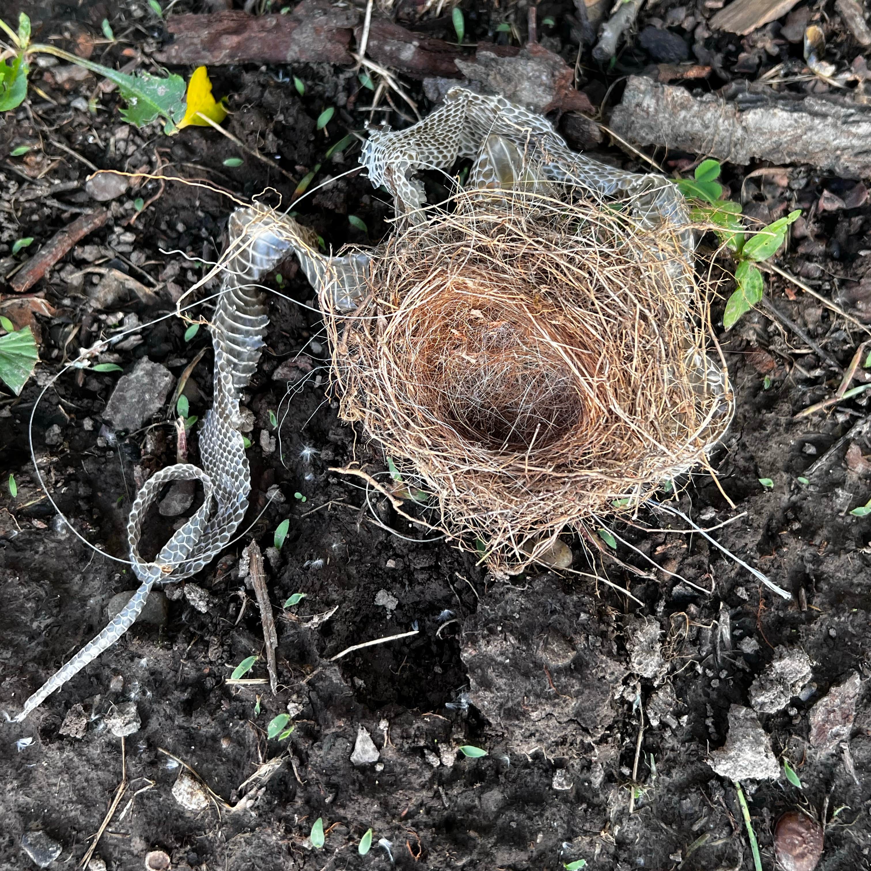 Rend Lake Gun Creek Campground | Johnsonville, Illinois