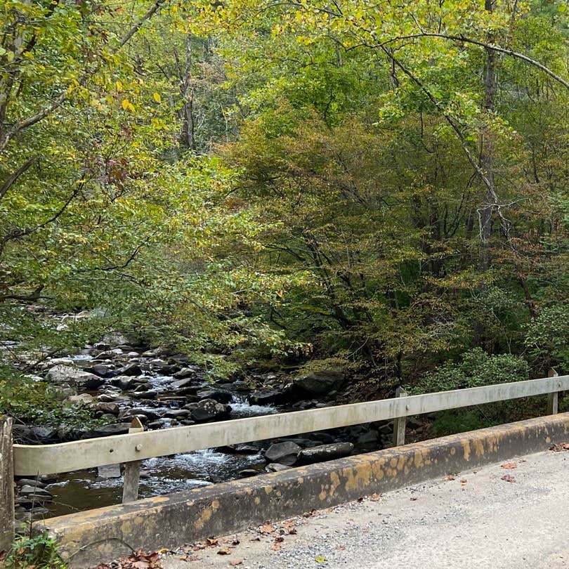 Reservoir Road Dispersed Campsite | Buena Vista, Virginia