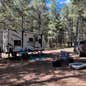 Resumidero Camping Area | Gallina, New Mexico