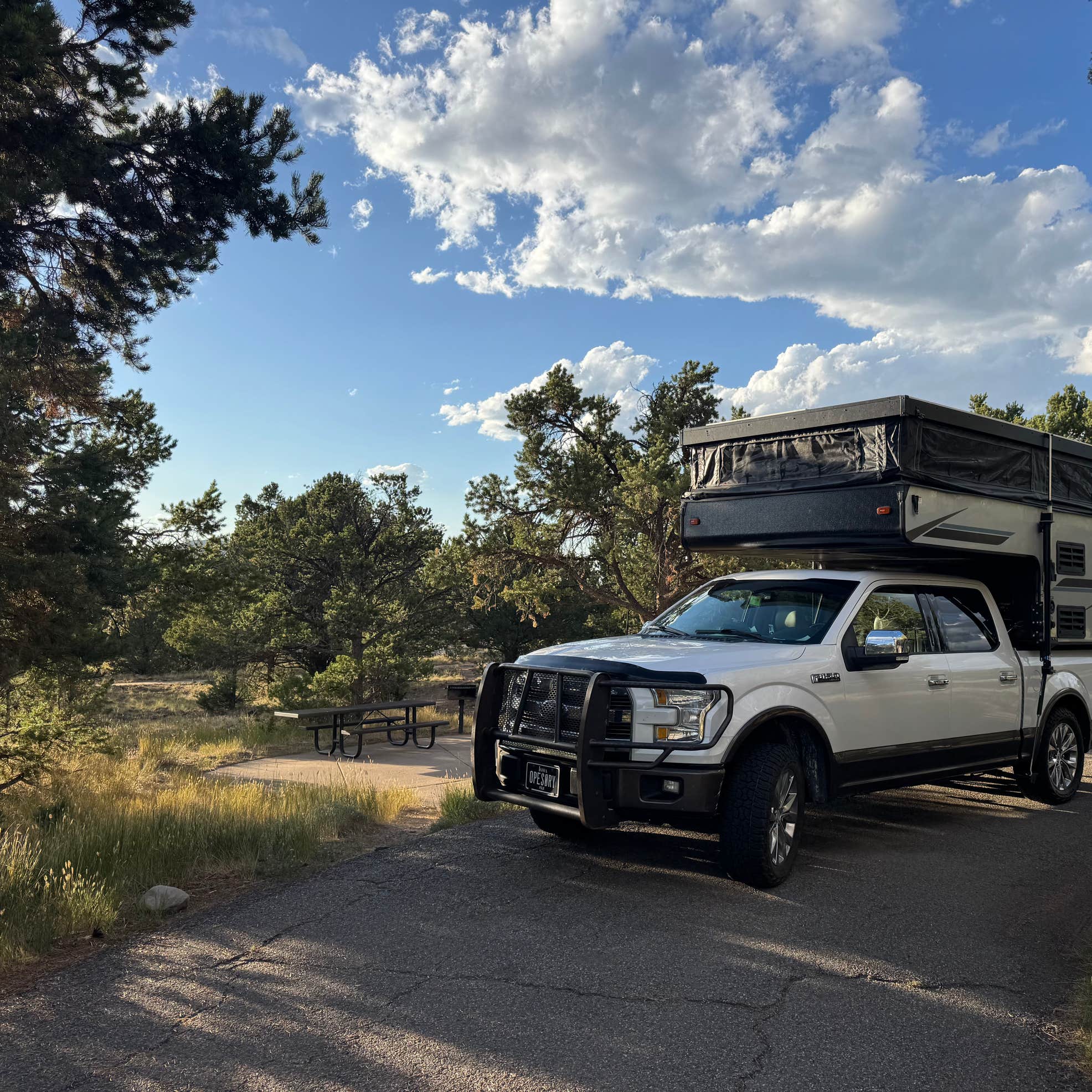 Elk Ridge Campground — Ridgway State Park | Ridgway, Colorado