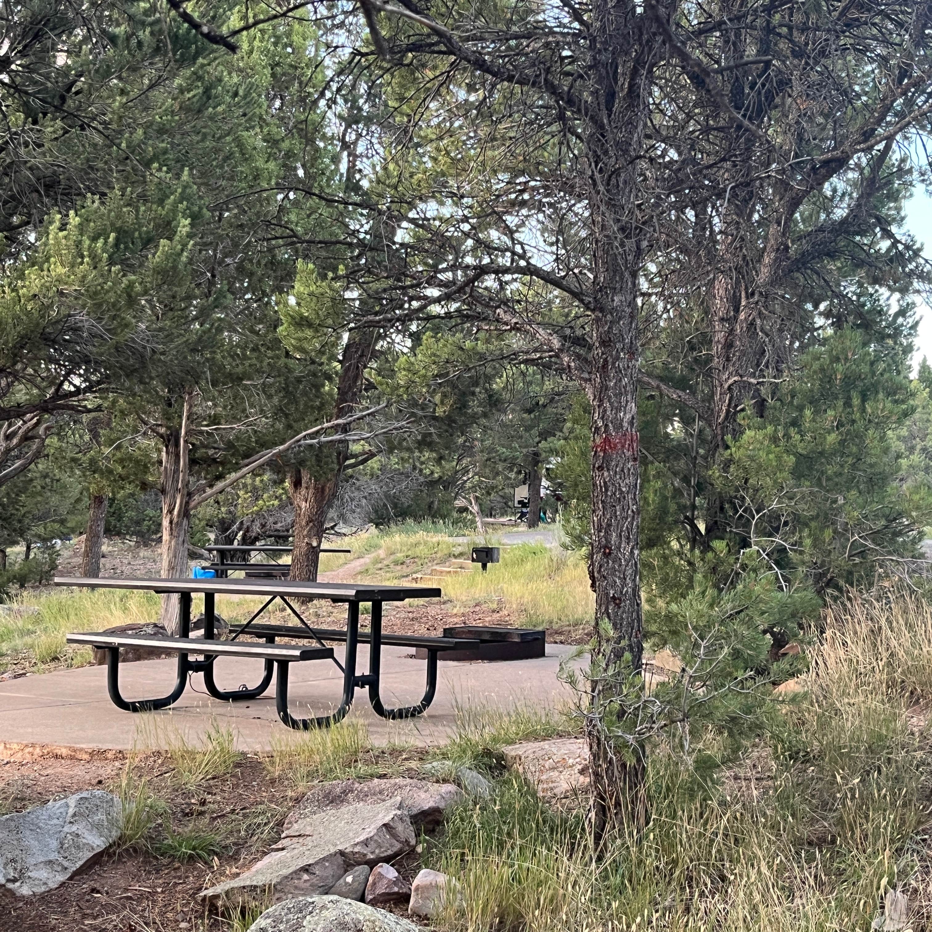 Elk Ridge Campground — Ridgway State Park | Ridgway, Colorado