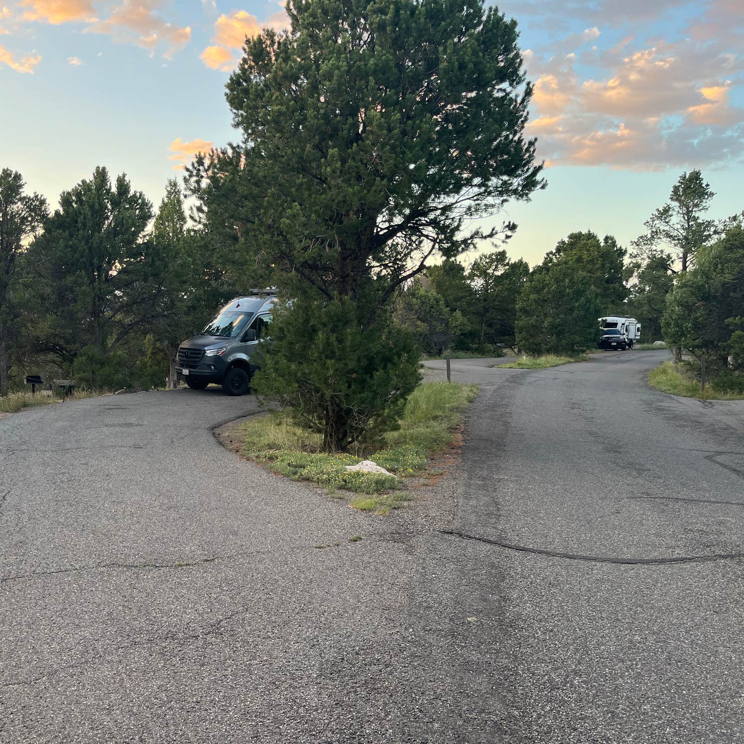 Elk Ridge Campground — Ridgway State Park | Ridgway, Colorado