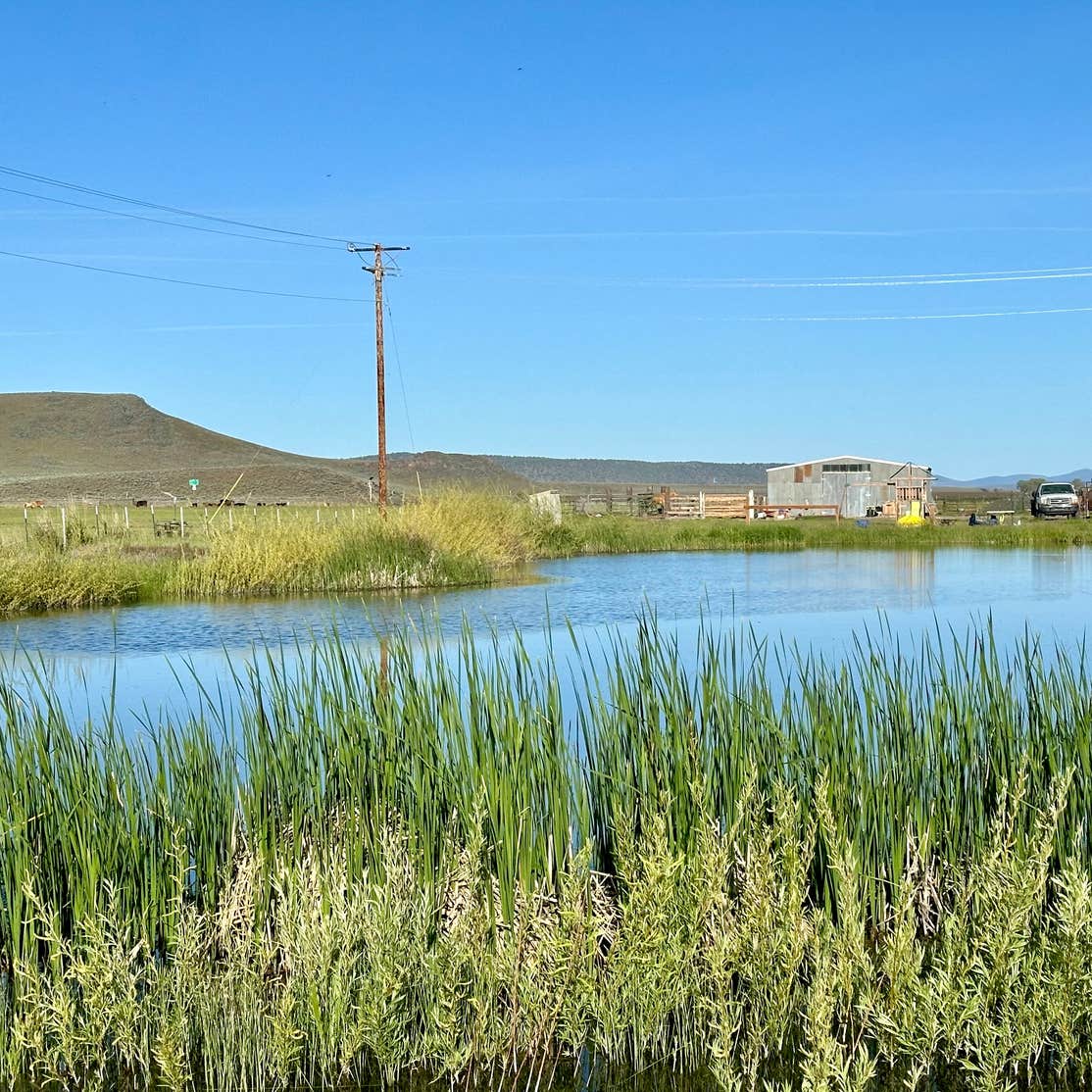 Riley Store Campground | Hines, Oregon