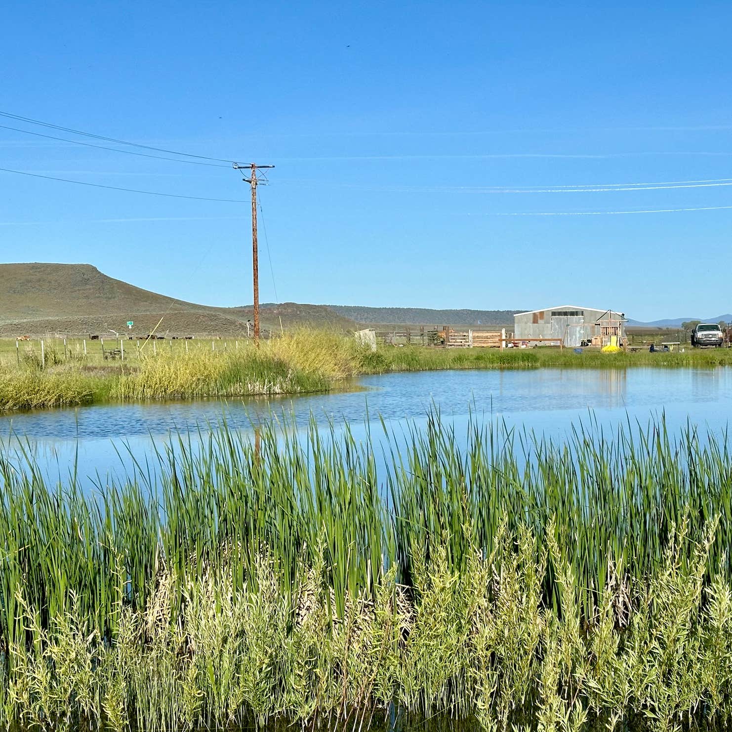 Riley Store Campground | Hines, Oregon