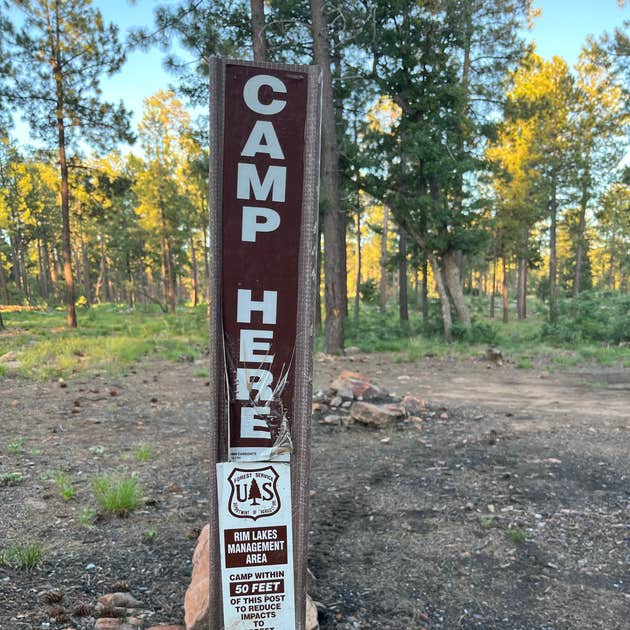 Old Rim Road Dispersed Site Camping | Forest Lakes, Arizona