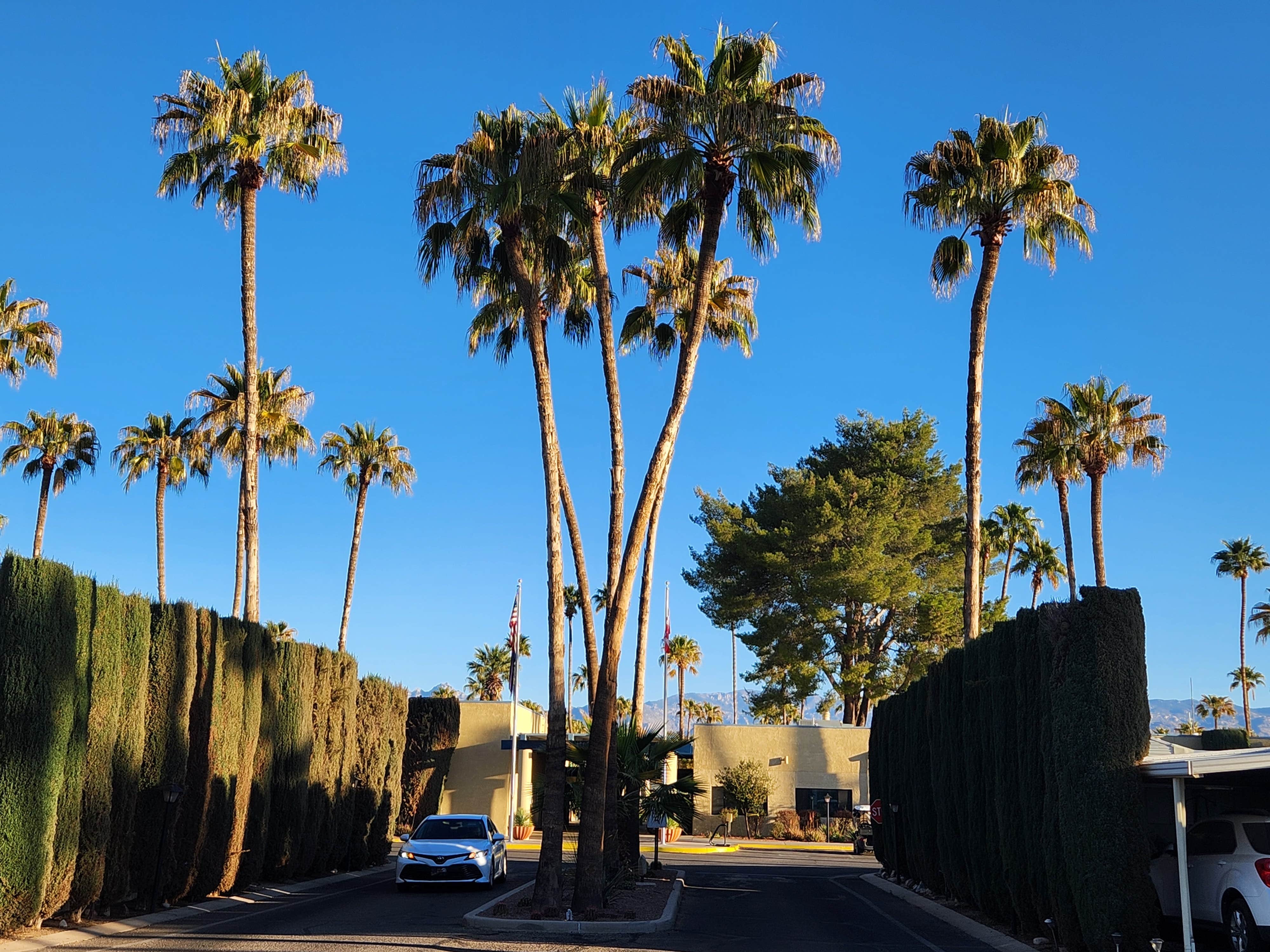 Rincon Country East RV Resort | Tucson, Arizona