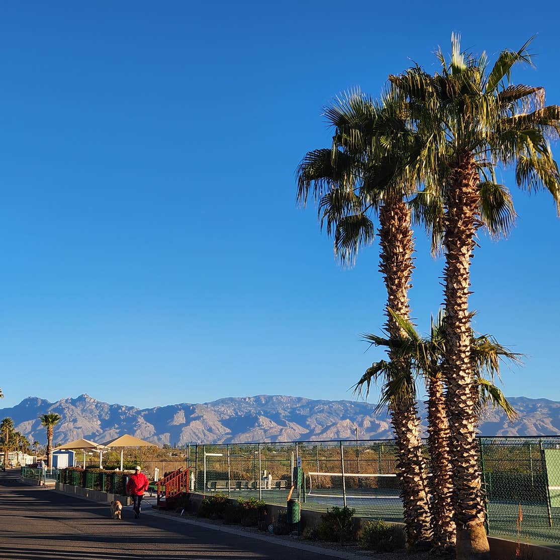Rincon Country East RV Resort | Tucson, Arizona