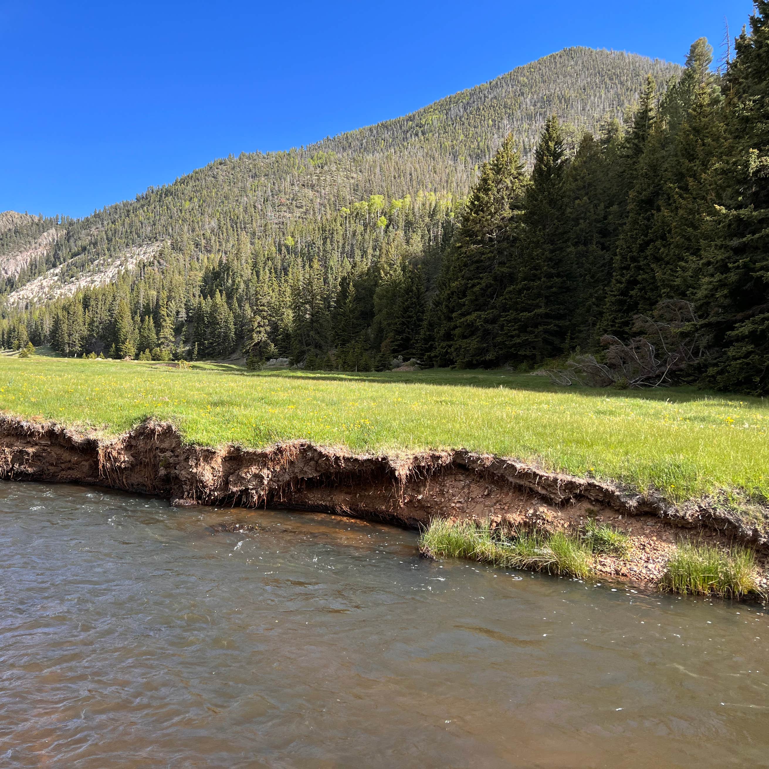 Rio Costilla Park Camping | Red River, New Mexico