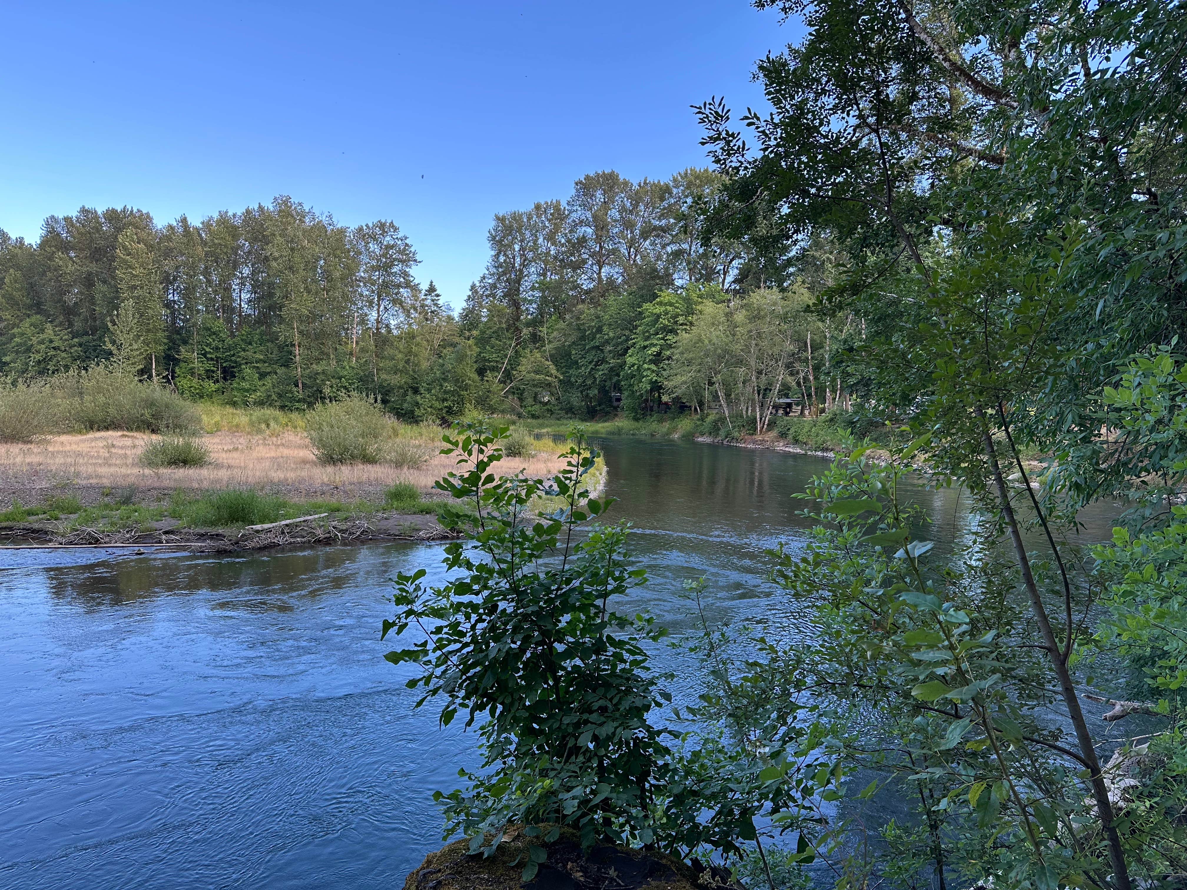Riverbend Campground | DuPont, Washington