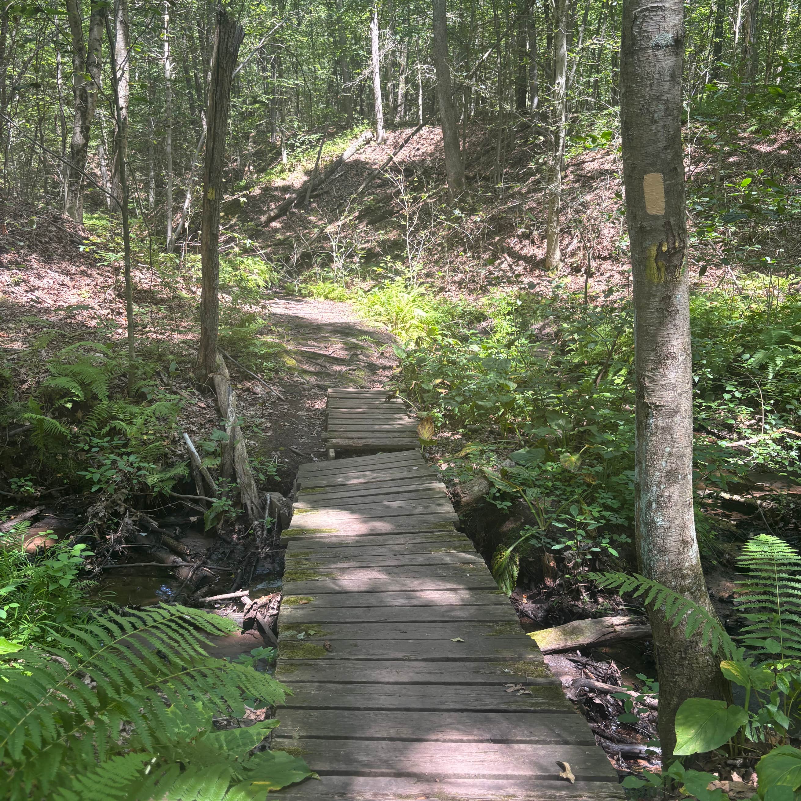 River Highlands State Park River Campground | Cromwell, Connecticut