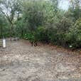 River Junction Campground — Withlacoochee State Forest | Nobleton, Florida
