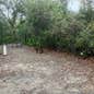 River Junction Campground — Withlacoochee State Forest | Nobleton, Florida