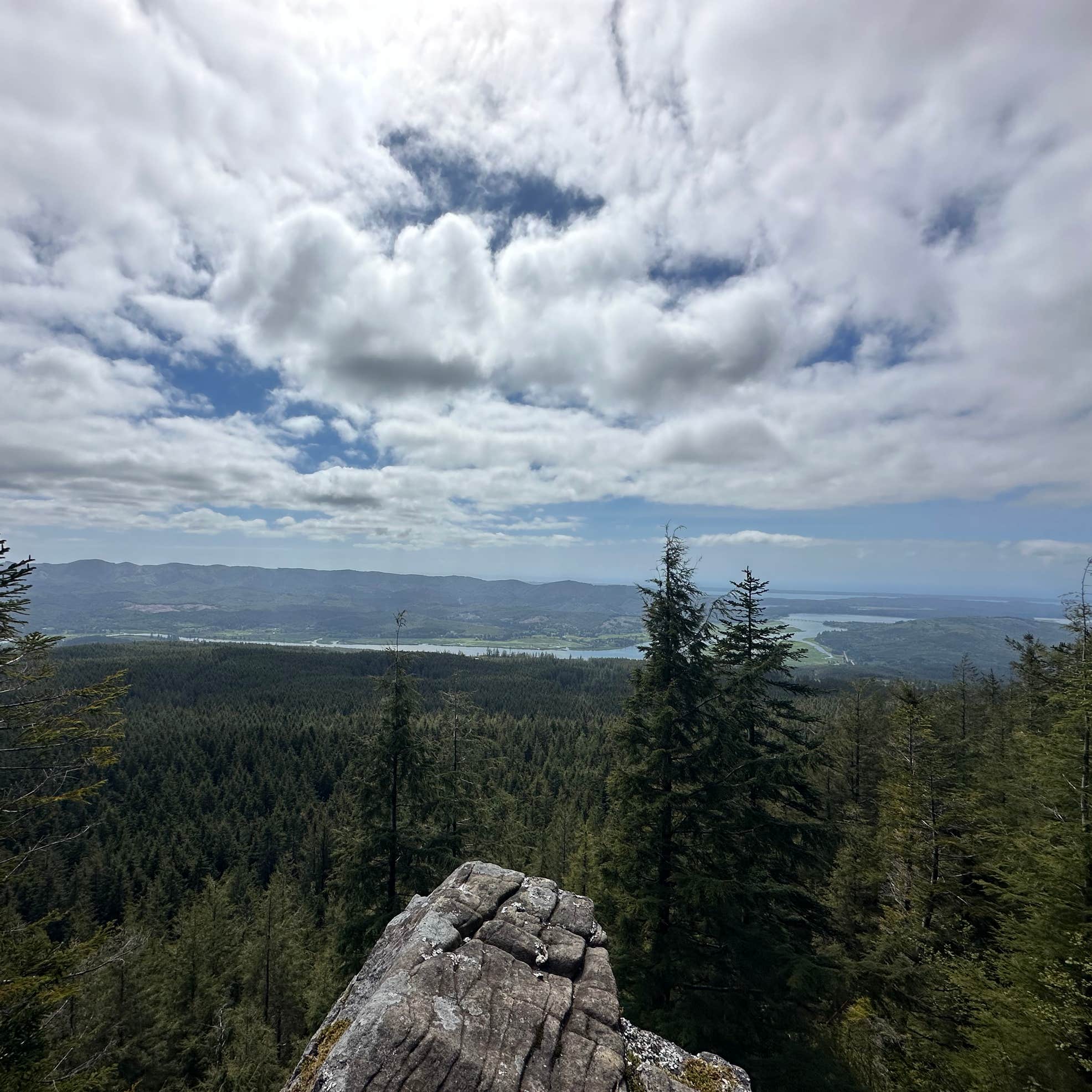 Road to Snag Lake - Dispersed Camping | Naselle, Washington