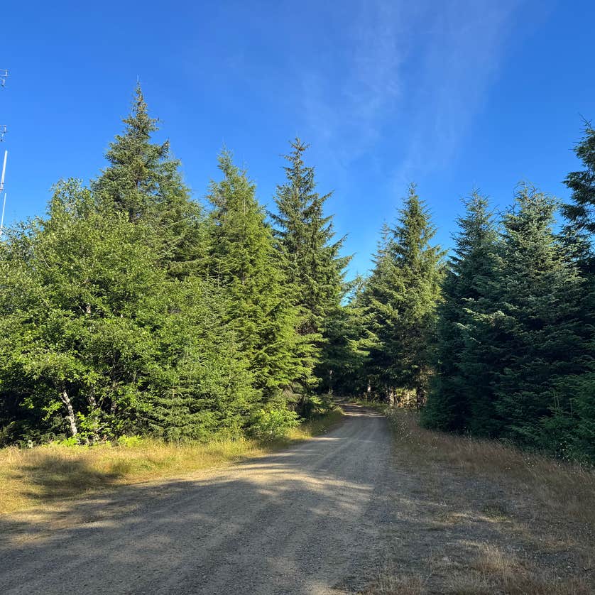 Road to Snag Lake - Dispersed Camping | Naselle, Washington