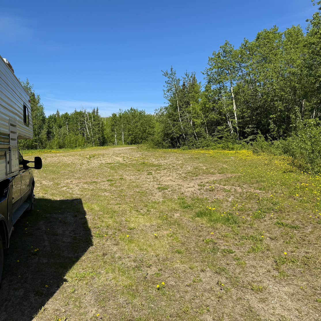 roadside camping spot | Nenana, Alaska