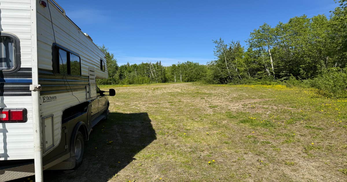 roadside camping spot | Nenana, Alaska
